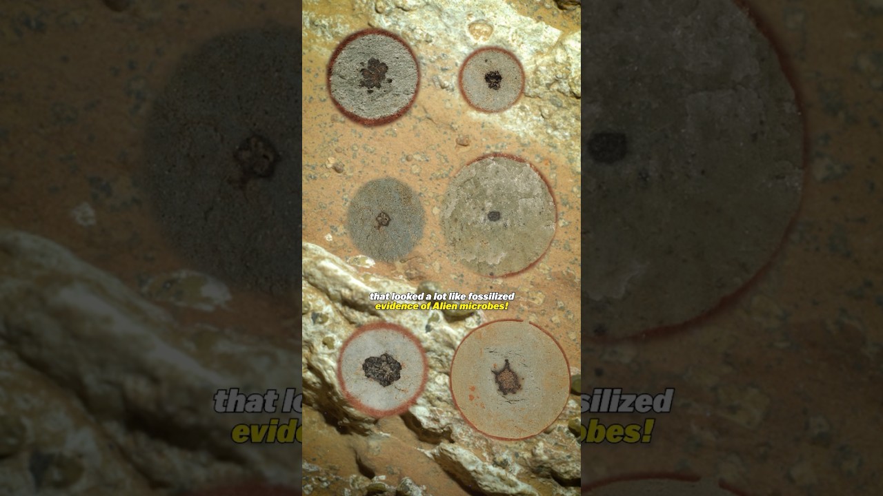 What will NASA's Mars samples reveal?