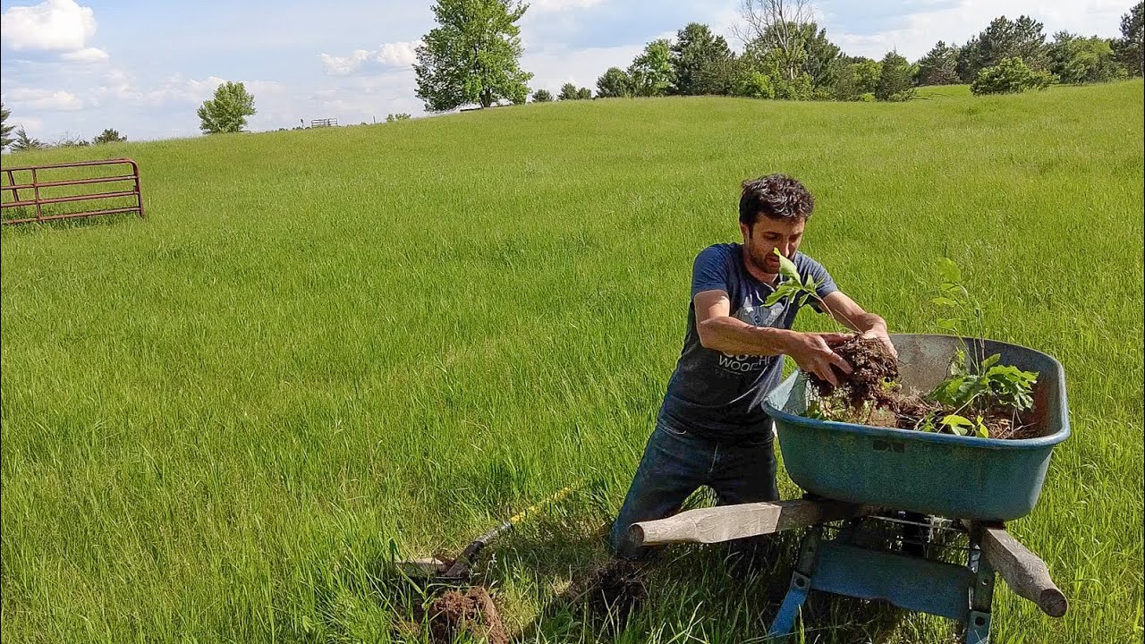 The secrets behind our arboretum design