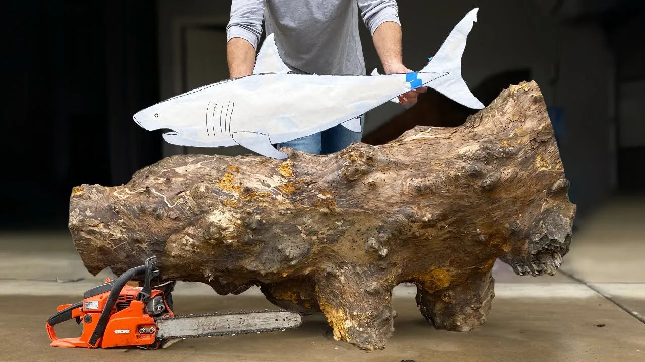 I carved this into a great white shark