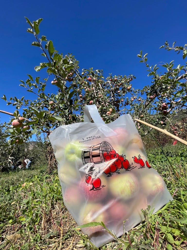 From Apple Fest to Haunted Orchard: Nichols Ranch and Orchards a fall ...