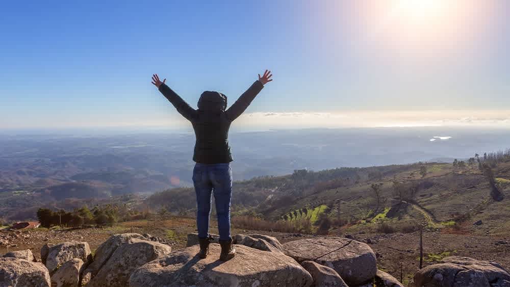 Dow Jones Futures: Bullish Market Pause; Palantir, Netflix, Oracle ...