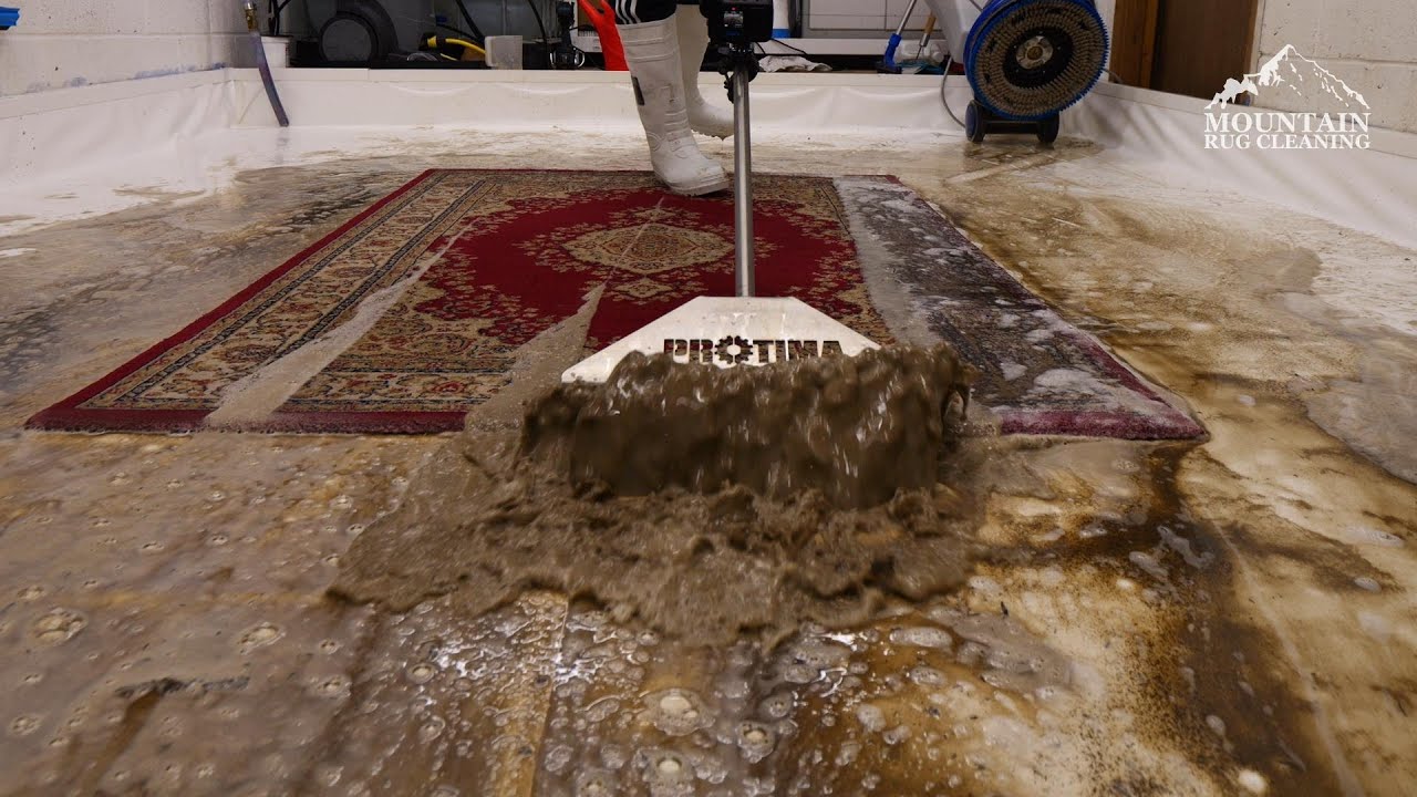 I found worms in this moldy rug! ASMR