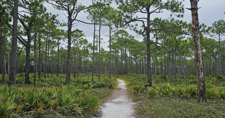 This 5-Mile Trail in Florida's Panhandle Is Worth Every Step
