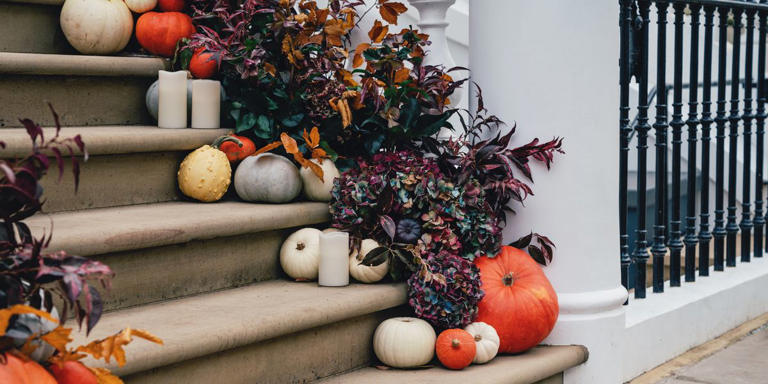 I Swear By This Unexpected, Under-$10 Home Essential to Make My ...