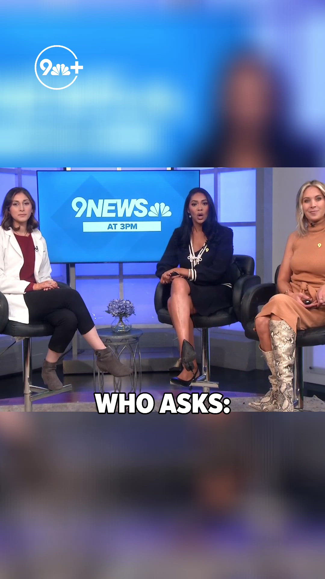 Tips on introducing new pets to old ones