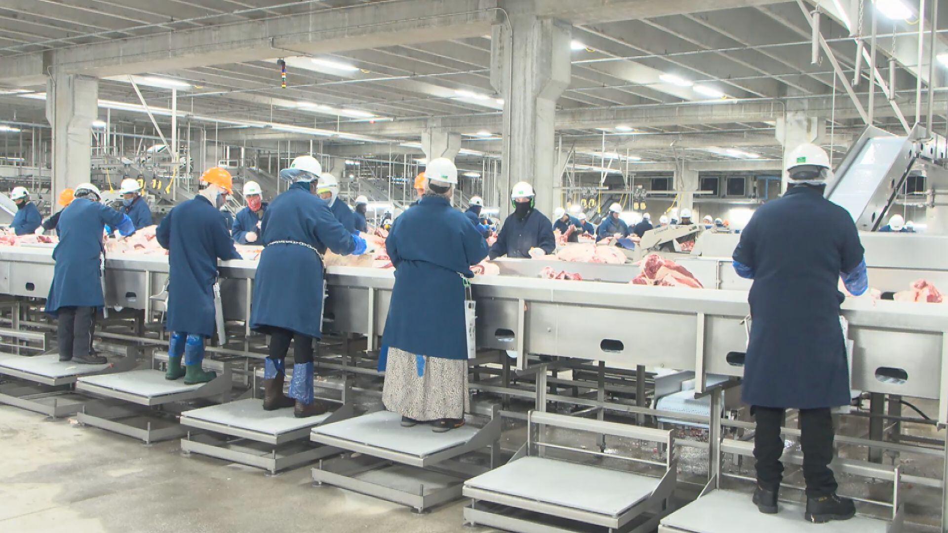 Sustainable Beef nears processing goal less than six months after ...