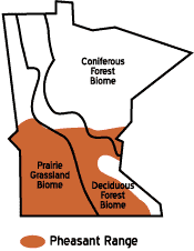 Governor’s Pheasant Hunting Opener starts Friday in Ortonville with ...