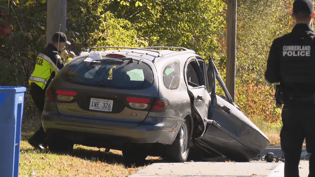 Good Samaritans help injured driver after his car collides with school bus