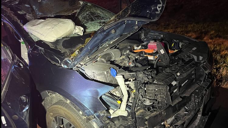 Passenger seriously injured after 2 vehicles collide with same moose in ...