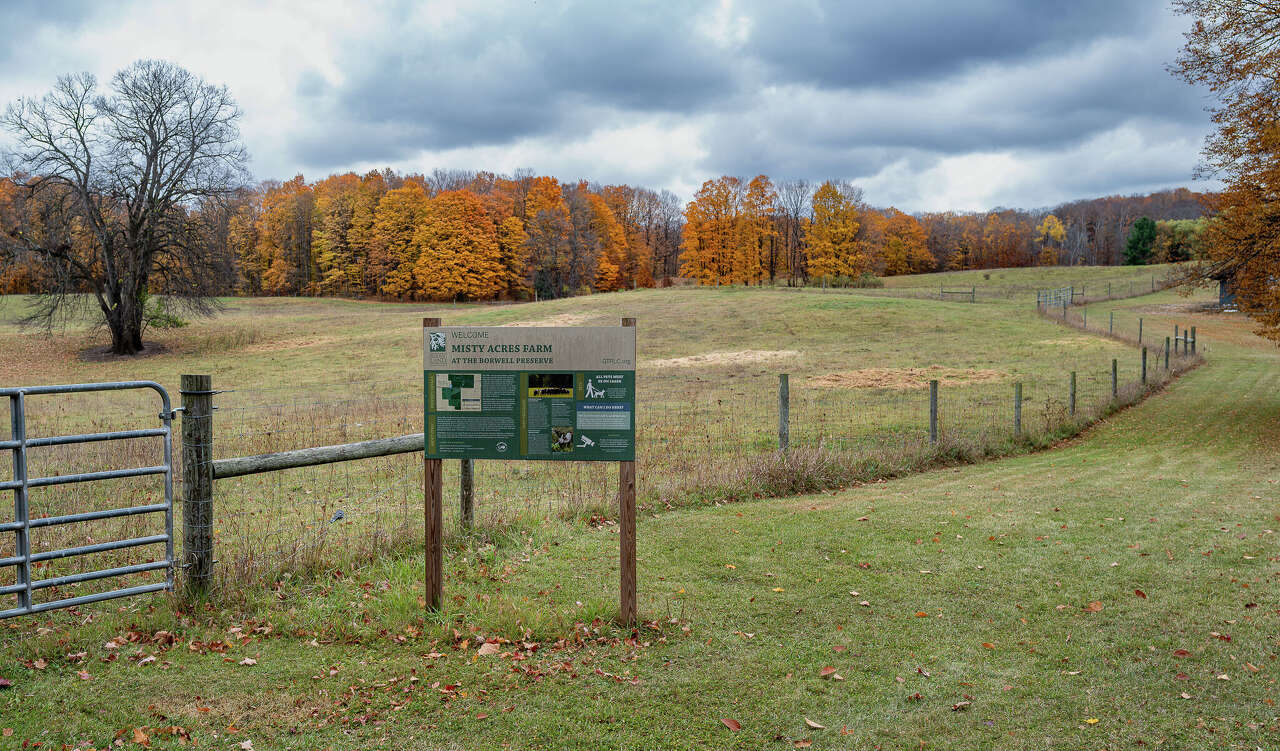 Fall Farm Day invites families to Misty Acres Farm in Benzonia