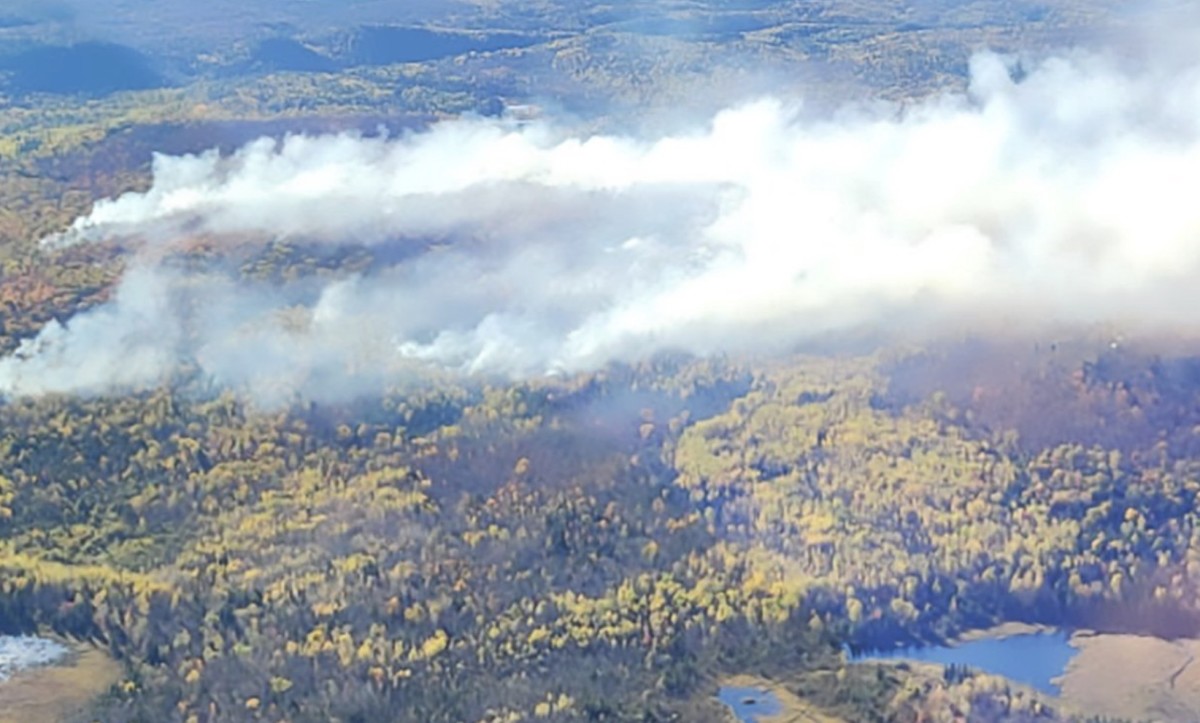 State park wildfire grows to 50 acres overnight as crews struggle to ...