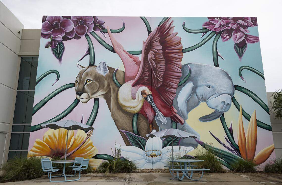 From night runs to trivia challenges, Pembroke Pines events happening ...