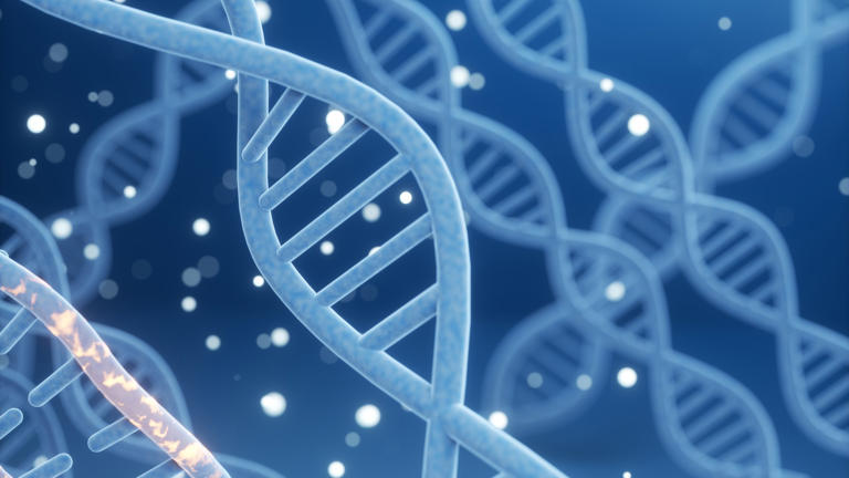 Scientist claims to find ‘alien DNA’ in humans