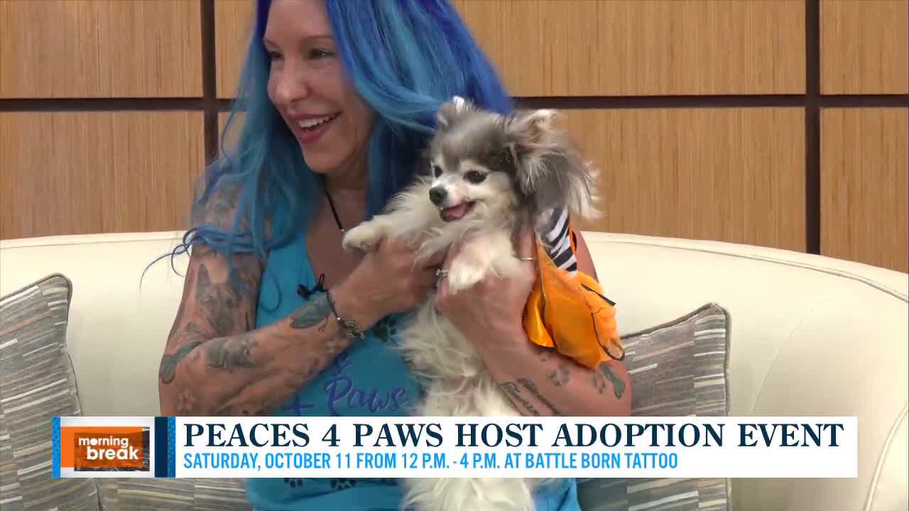 Peaces 4 Paws partners with local businesses, animal rescues for ...