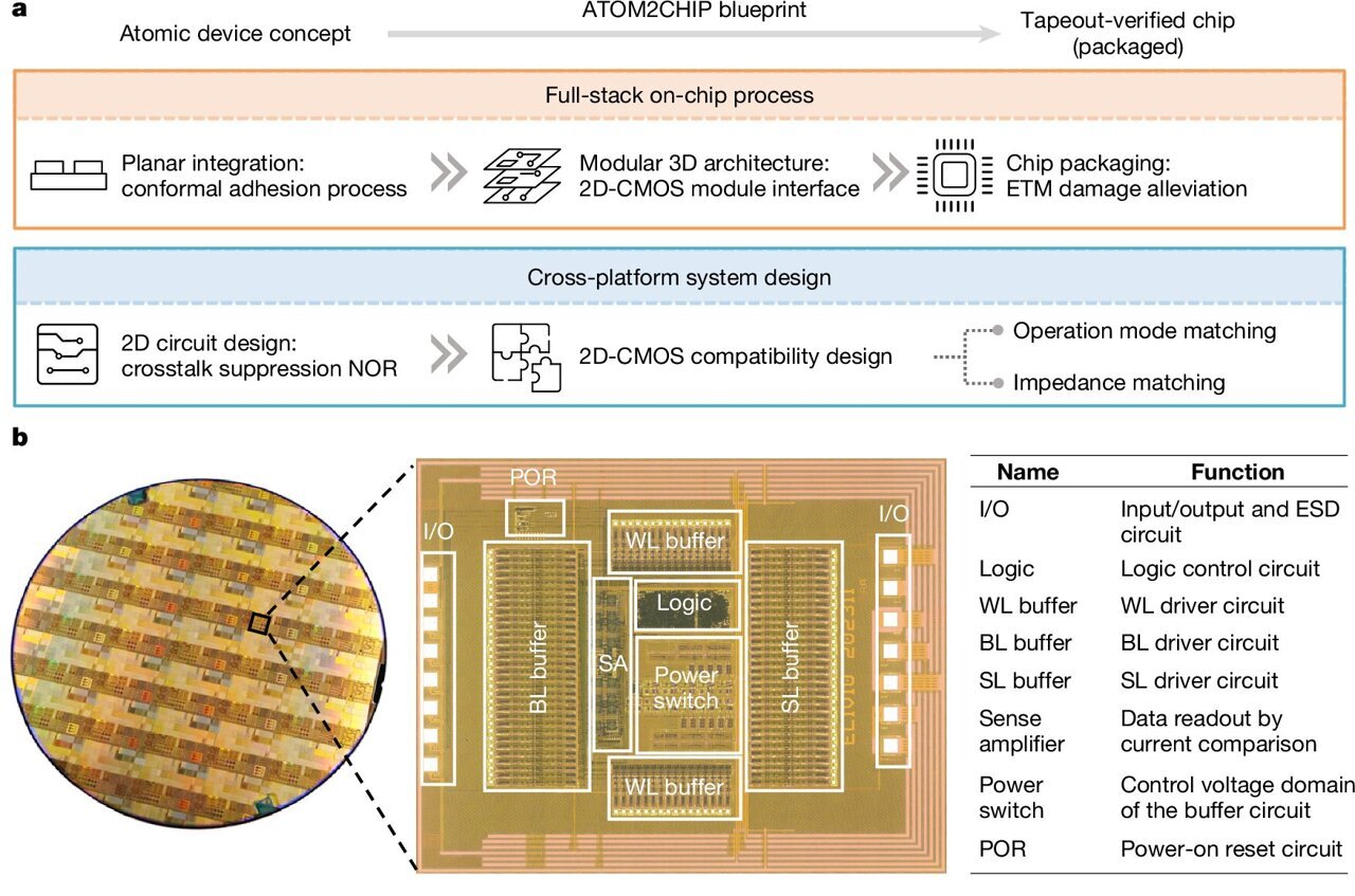 Scientists create world's first chip that combines 2D materials with ...