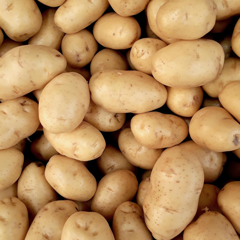 8 Easy Trader Joe’s Meals For Hungry College Kids