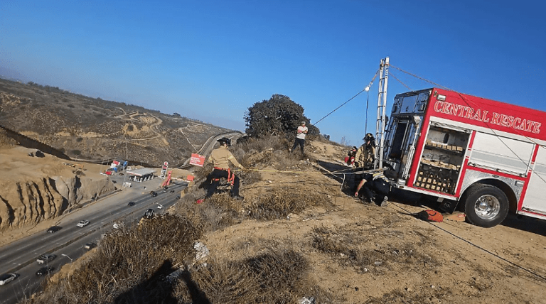 Tijuana firefighters rescue 10 puppies dumped into storm drain along ...