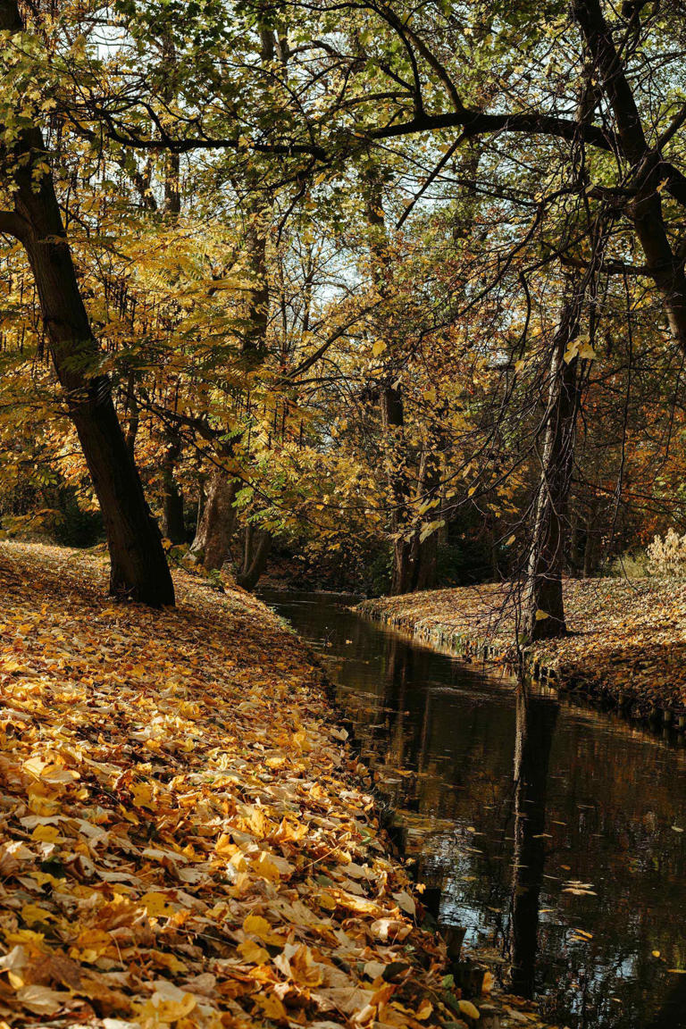 Fun things to do this fall in DFW