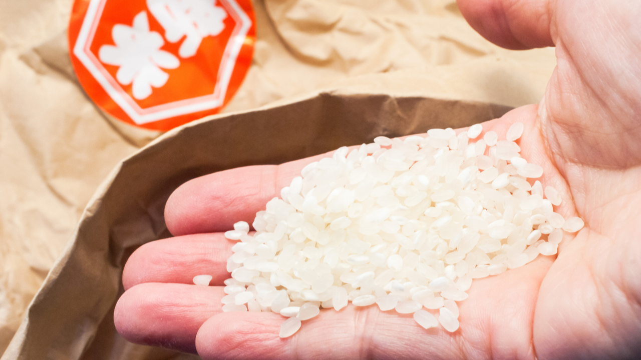 Which is the most expensive rice in the world?