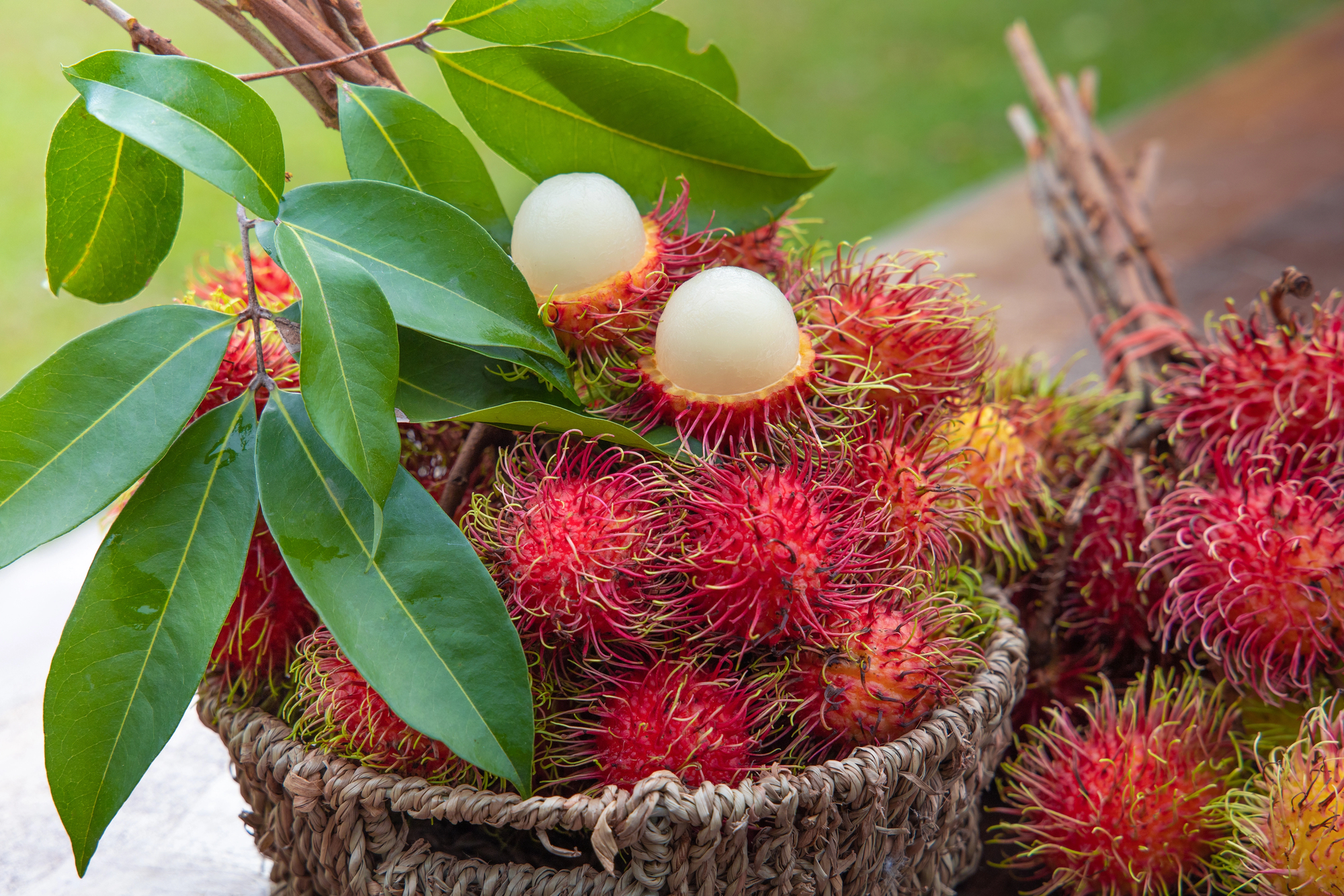Fruits You Probably Haven’t Tried