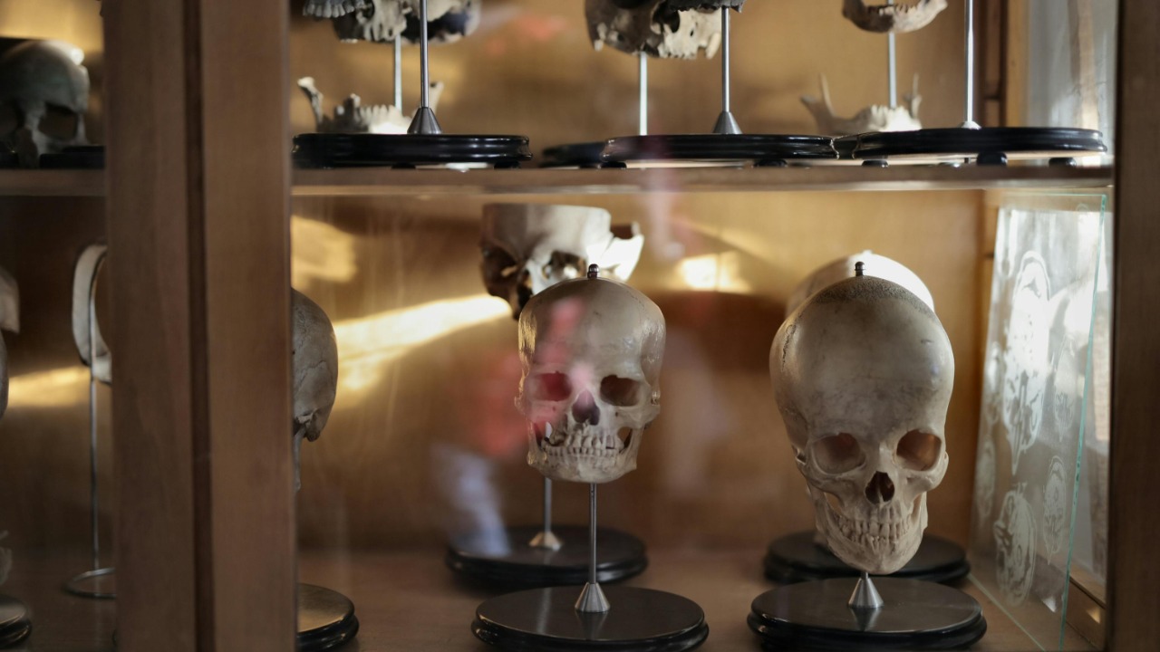 Ancient China artifacts reveal ritual bone modifications