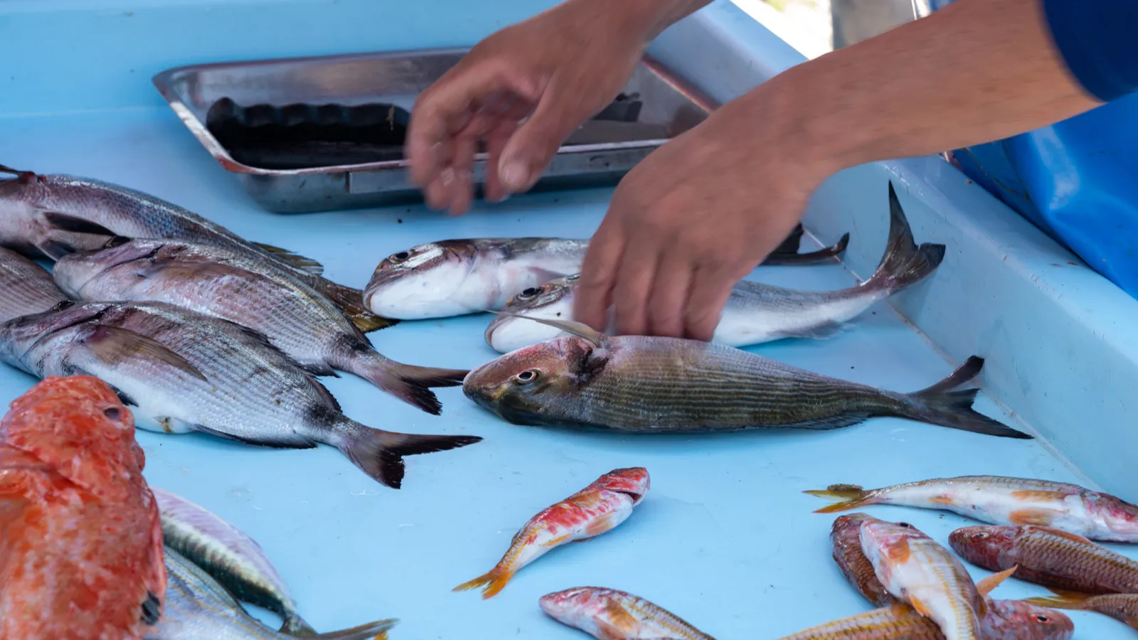 Master the art of grilling fish without sticking or burning