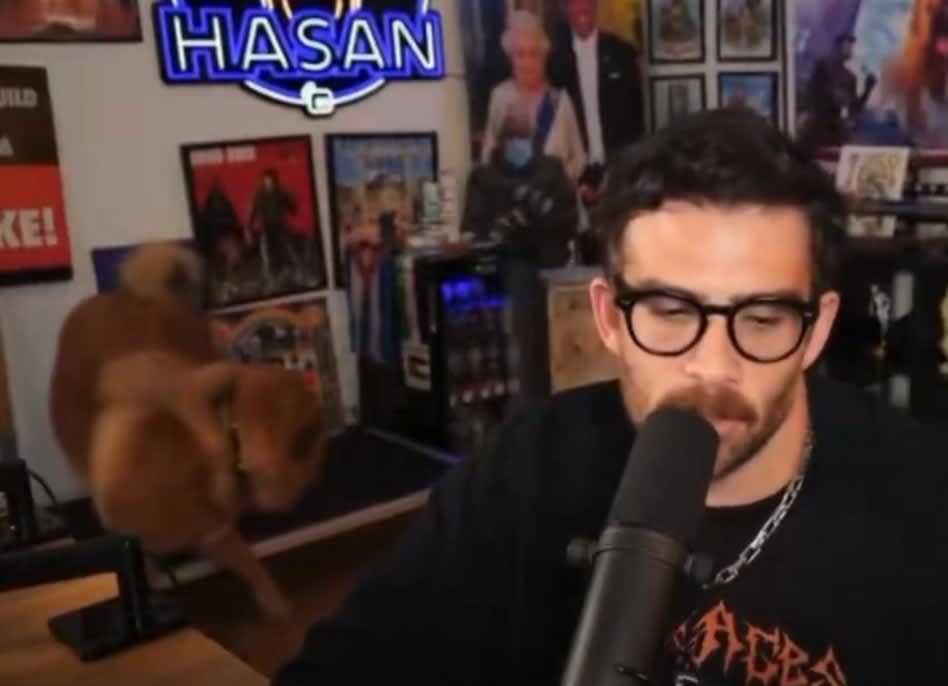 Did Hasan Piker Shock His Dog? Streamer Faces Backlash Over On-Camera ...