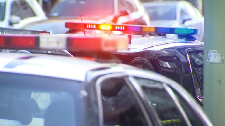 Wild scene on NH highway as police chase leads to woman barricading ...