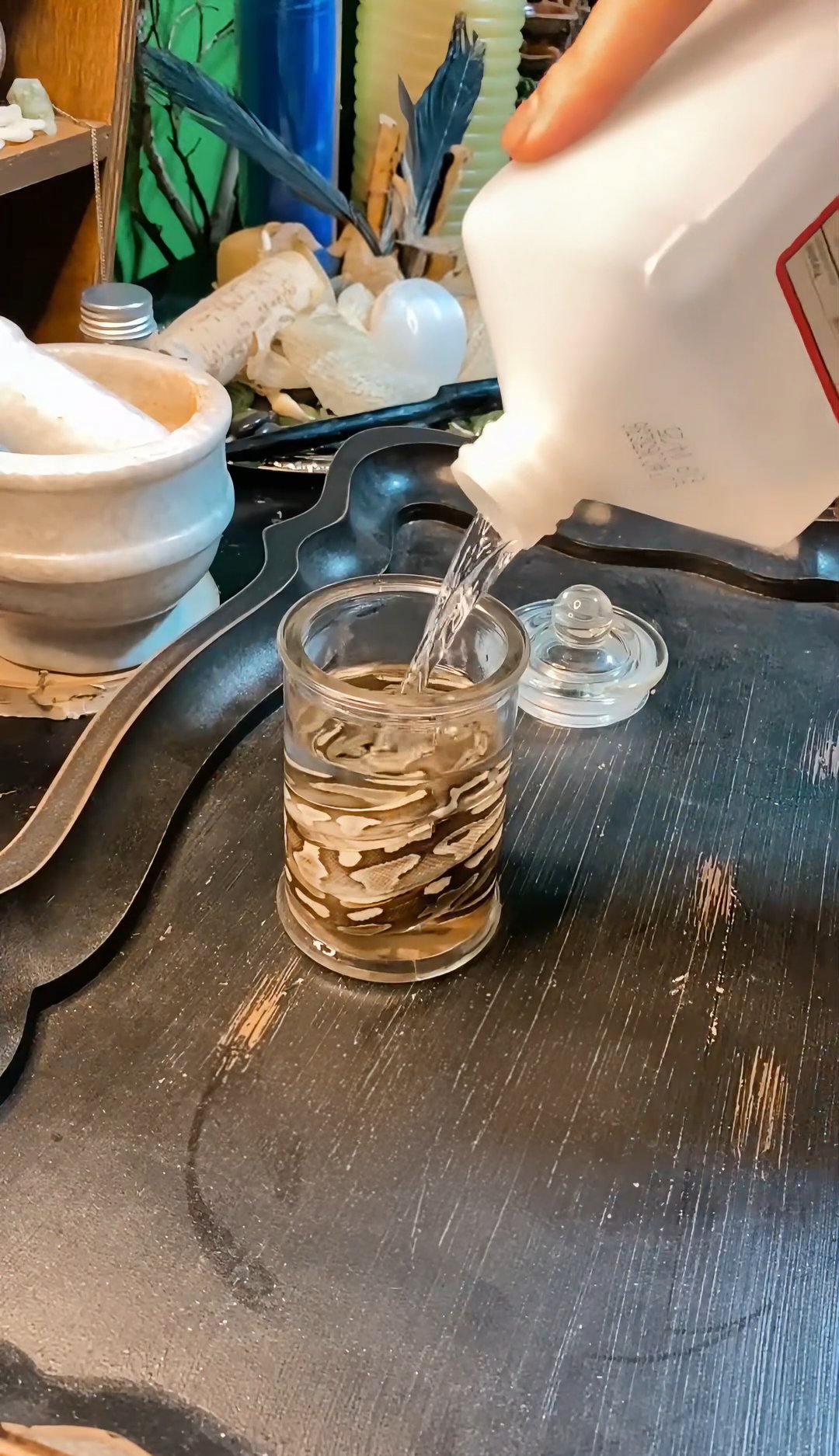 If the specimen begins to look dingy, simply empty and refill.