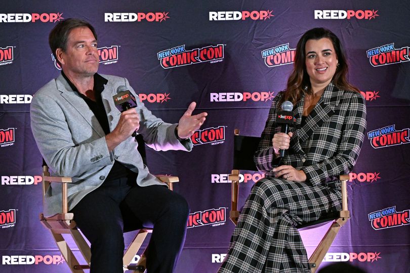 NCIS fans get sneak peek at Tony and Ziva's wedding as Cote de Pablo ...