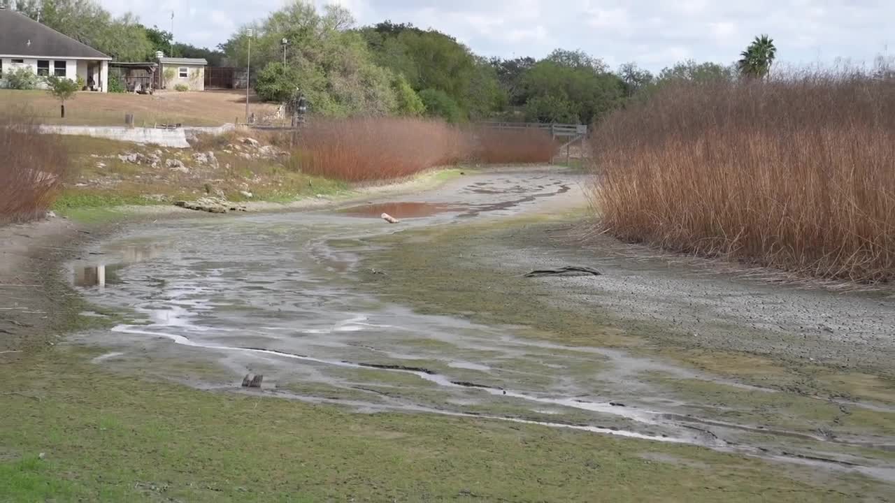 Beeville declares local State of Disaster amid severe drought ...