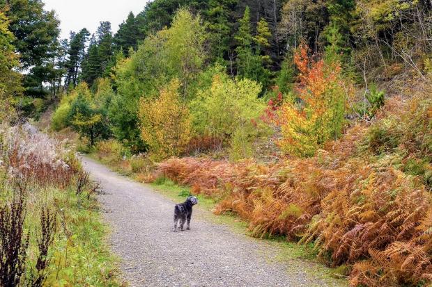 Take a look at these 12 fab pictures taken by our readers