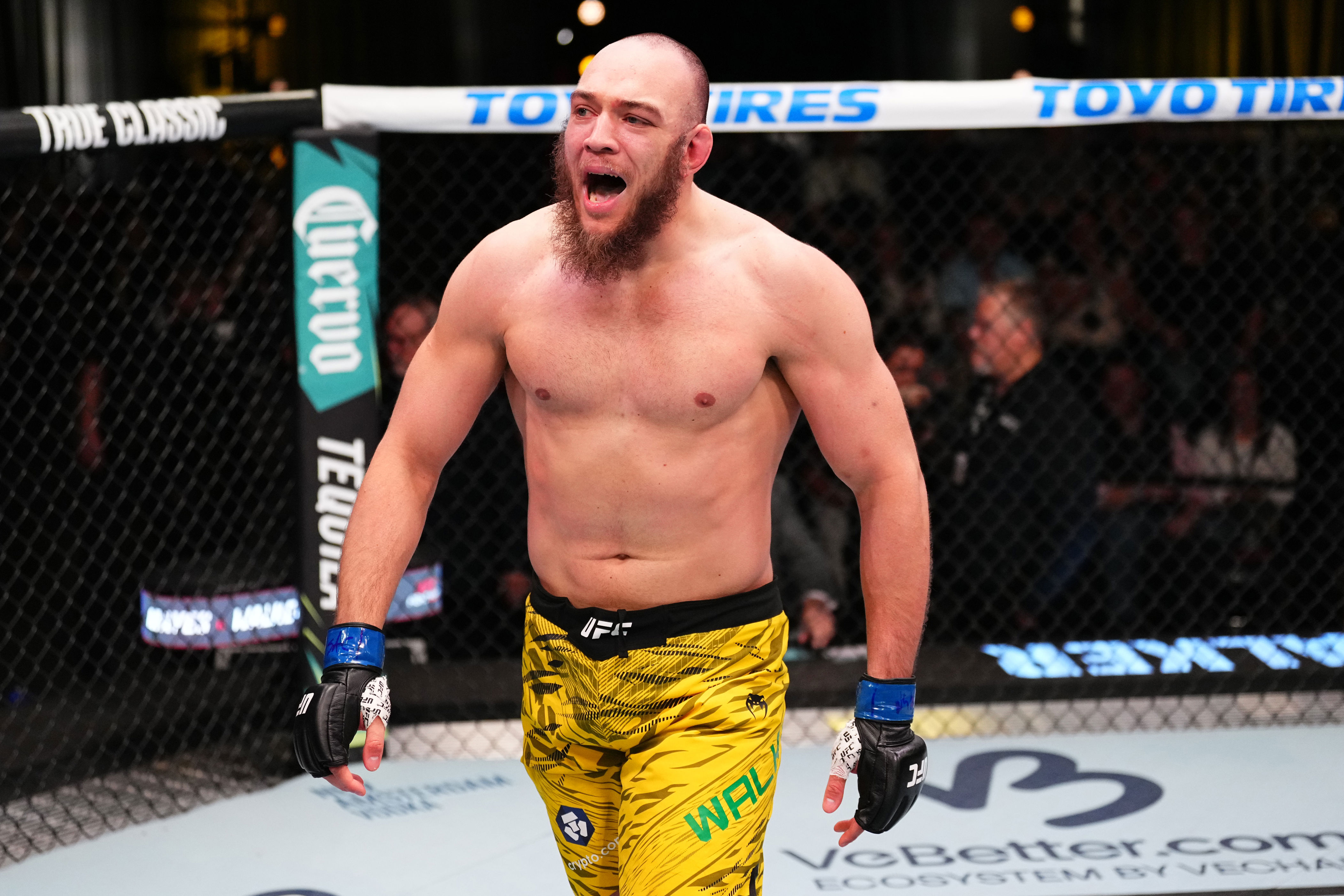 Canceled! UFC Rio Heavyweight fight torpedoed two days before the event ...