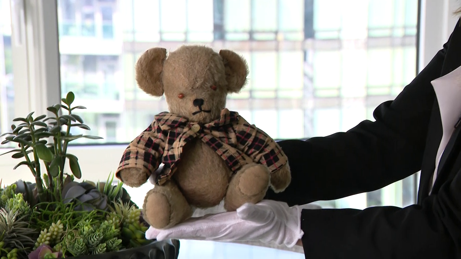 Teddy bear to tell story of survival at Holocaust Museum Boston