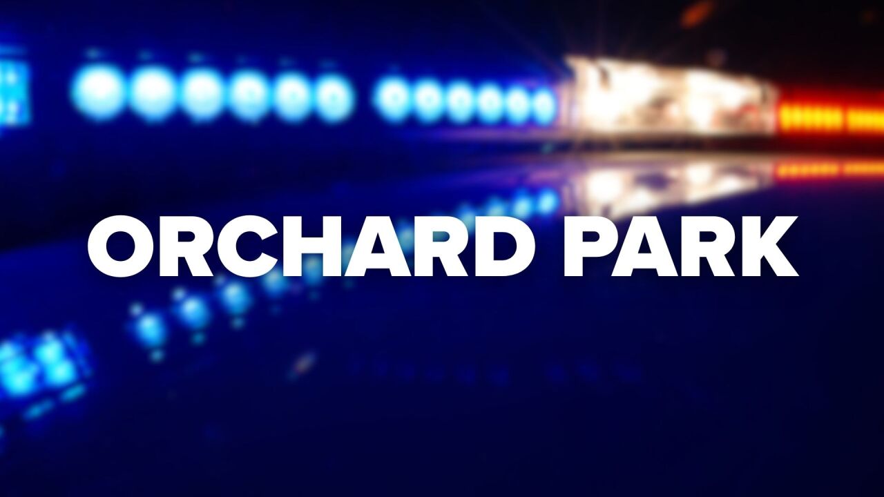 Orchard Park woman in critical condition after allegedly driving and ...