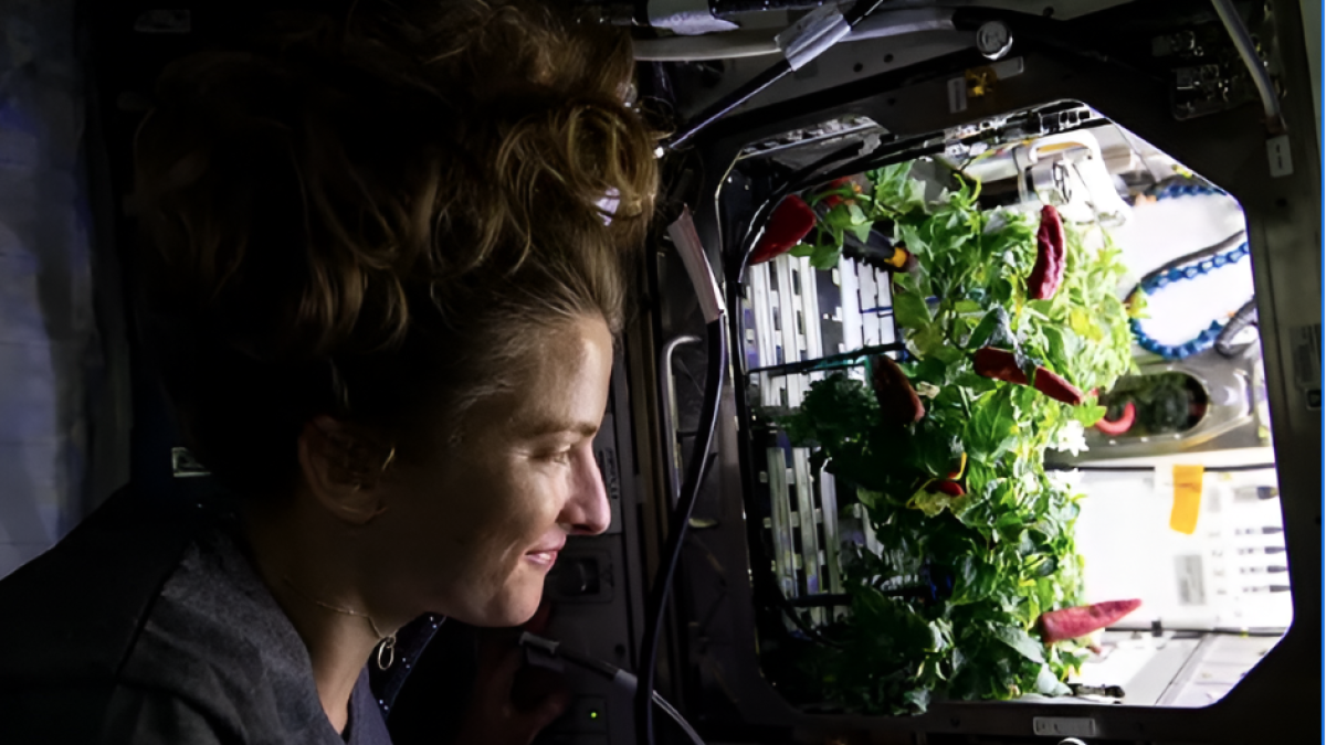 HOBI-WAN: así es el proyecto de la ESA para fabricar proteínas en el ...