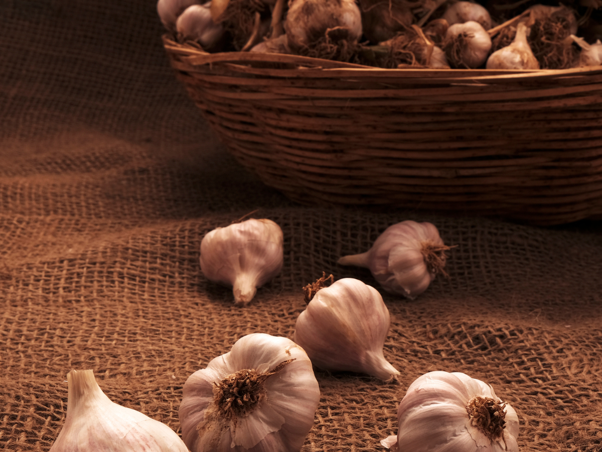 Sadhguru’s 5 everyday foods to lower cholesterol and high blood pressure