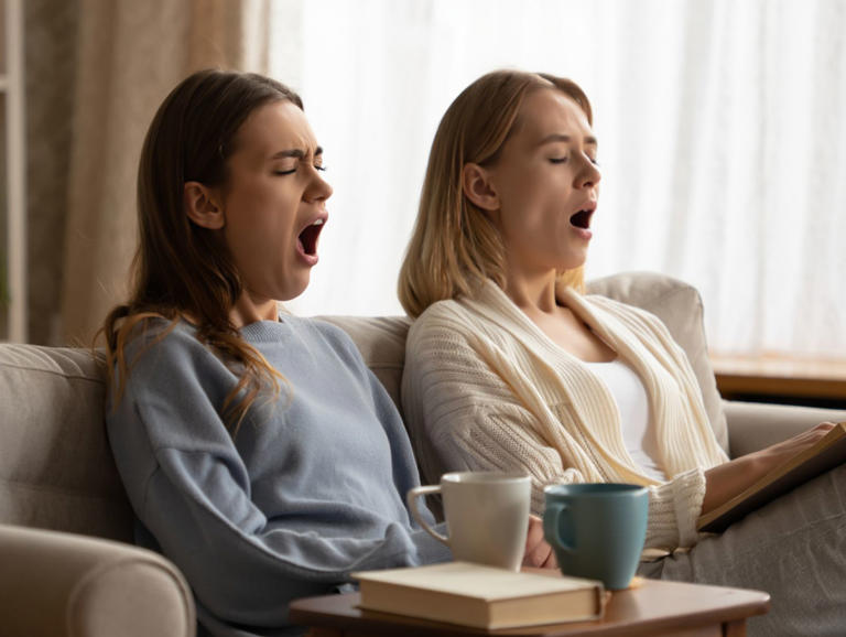 🥱 Why do we yawn, and is it really contagious?