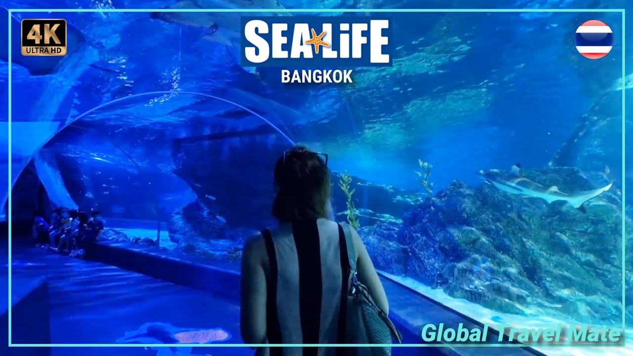 SEA LIFE Bangkok Ocean World – Siam Paragon Aquarium Adventure 🇹🇭