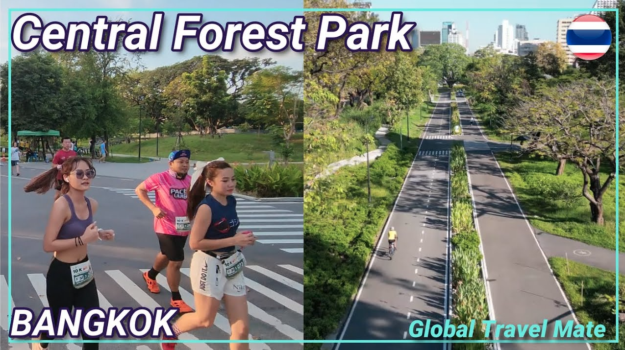Bangkok Central Forest Park – The Ultimate Weekend Escape in the City