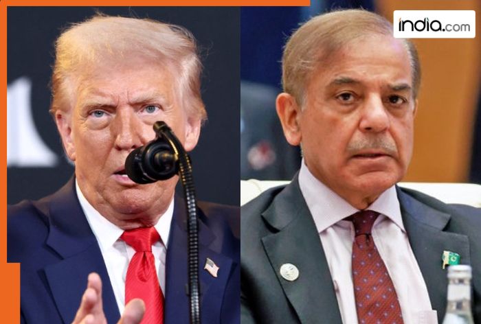Trump–Shehbaz Sharif friendship to end? US makes BIG statement on ...