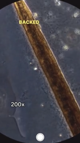 Human Hair vs. Drano: The Shocking Science Behind the Clog