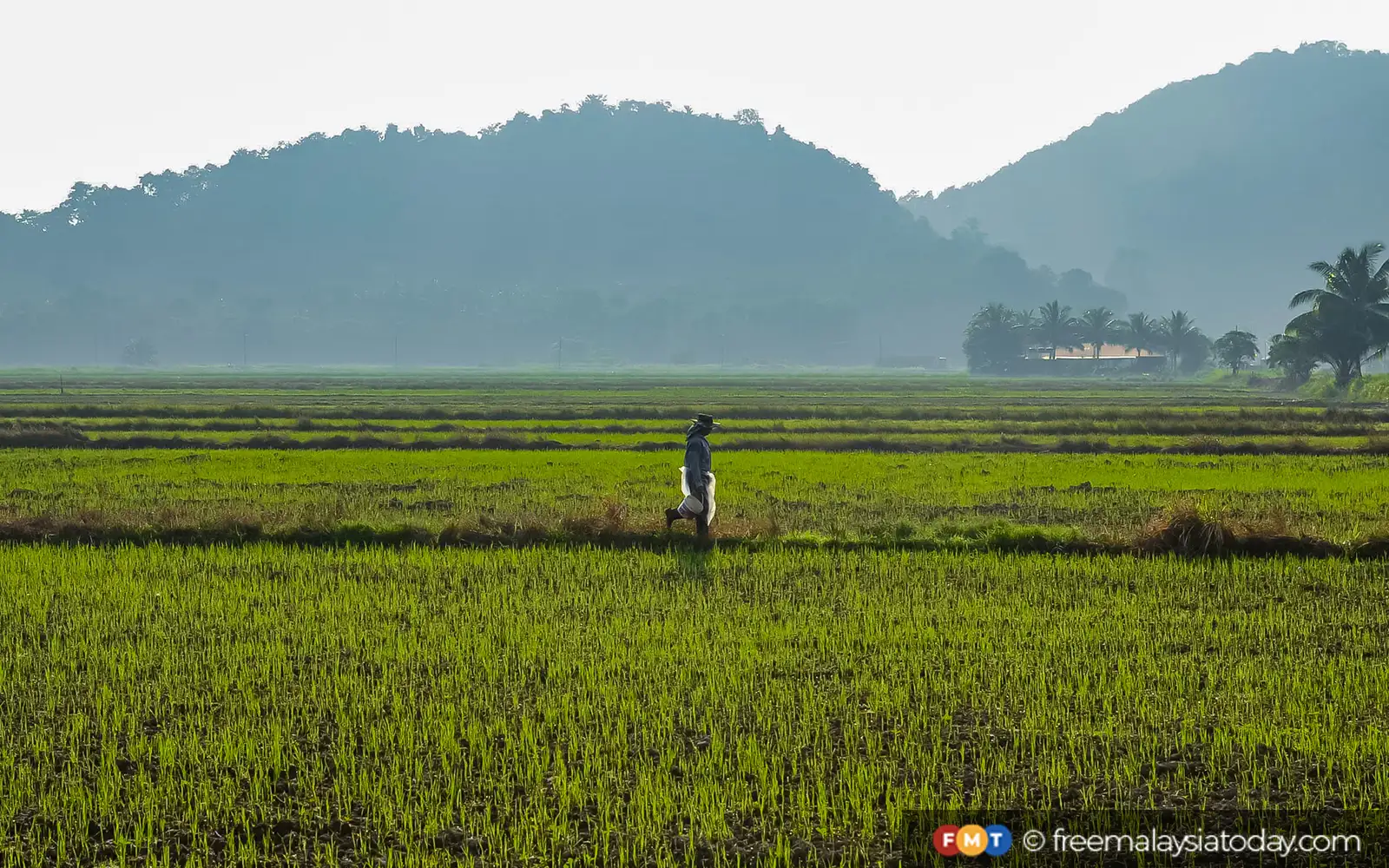 Govt drafting National Food Security Act