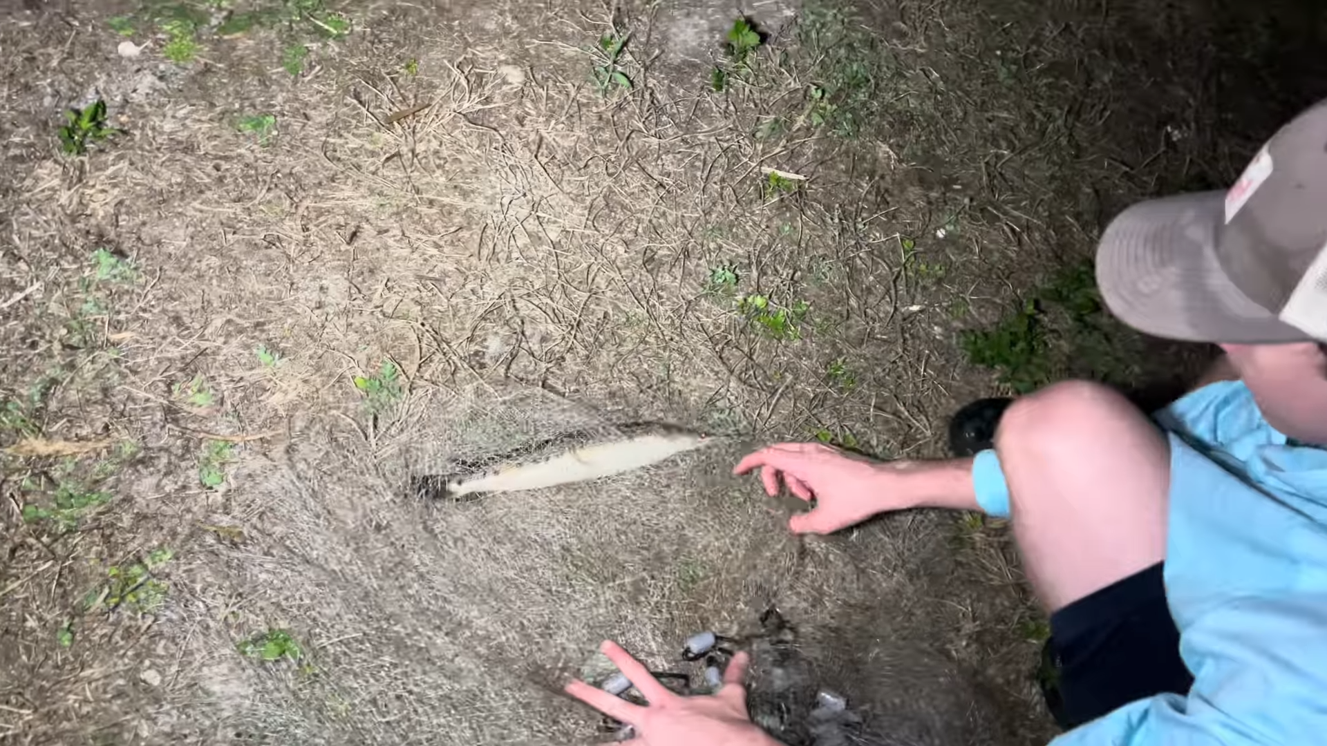 Catching exotic fish after dark goes wrong in the swamp