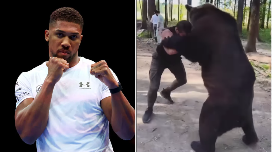 Joshua set to face Russian 'bear-wrestling' fighter