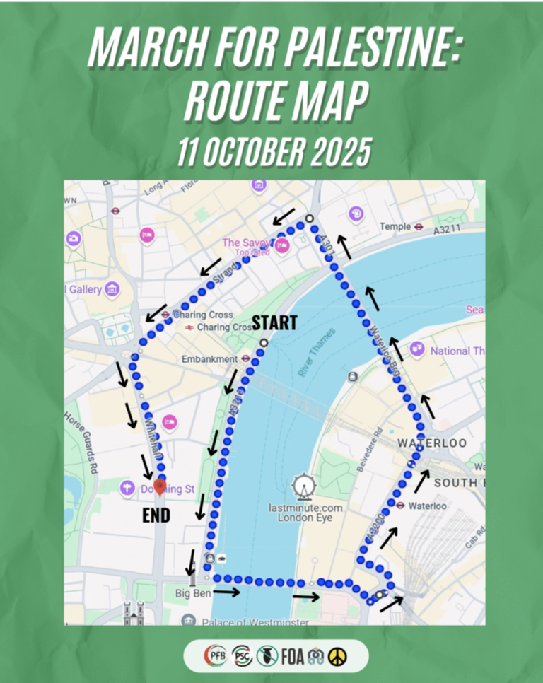 London Palestine protest: Route and road closures revealed ahead of ...