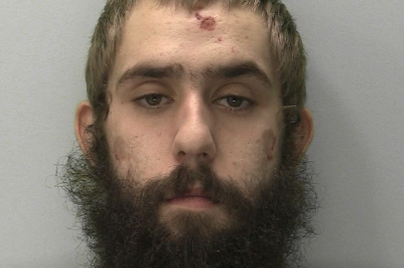 Menacing gang terrorised Exeter at night scarring victims 'for life'