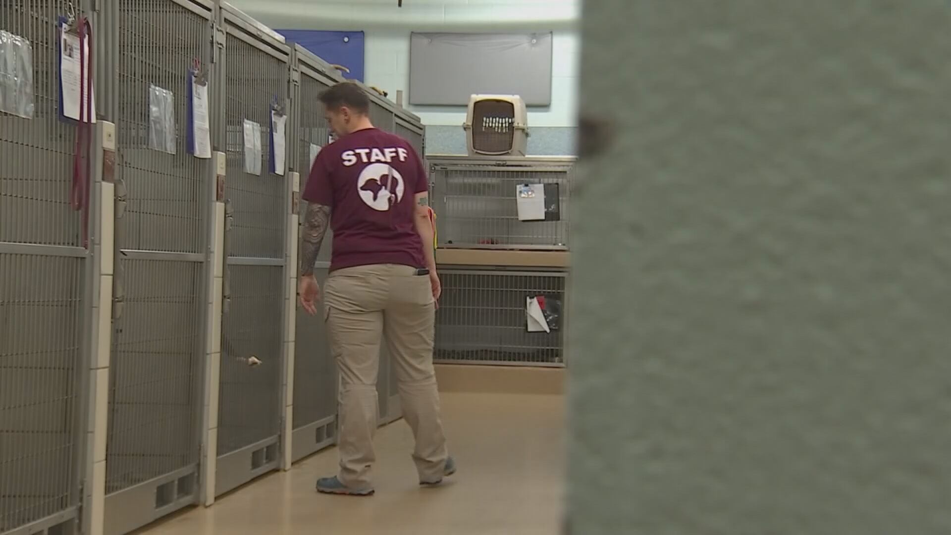 Metro Nashville may soon have a new Animal Care and Control Commission