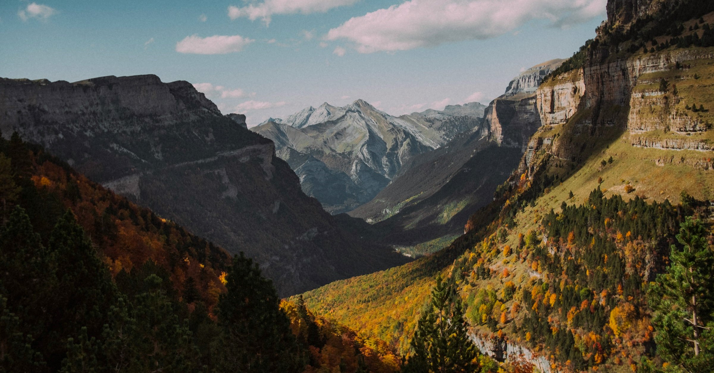The best forests in Spain to visit this Autumn 2025