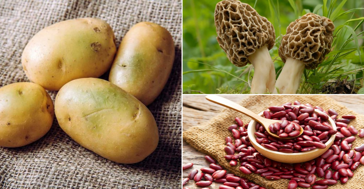 18 Foods You Should Never Eat Raw
